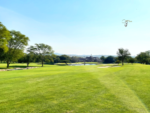 Leopard Creek | Mhala Tours